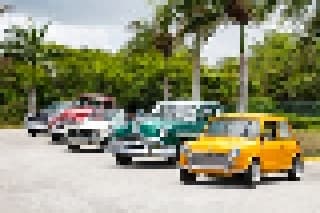 使用Albumentations进行图片数据增强